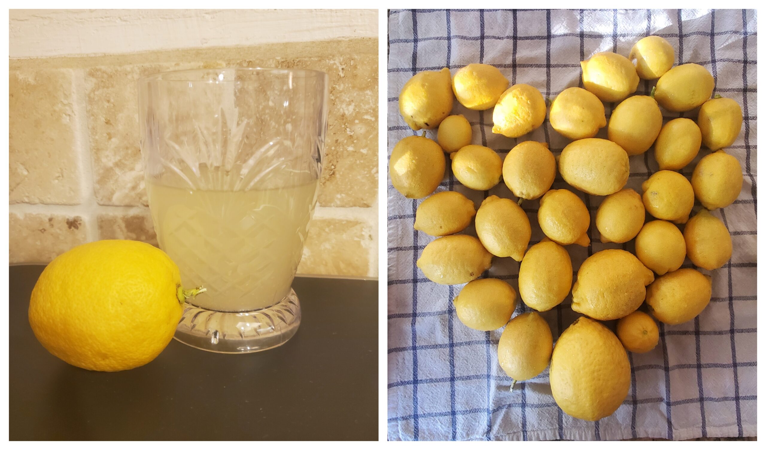 Easy and Delicious Lemonade Recipe - Pretty Creative Stuff